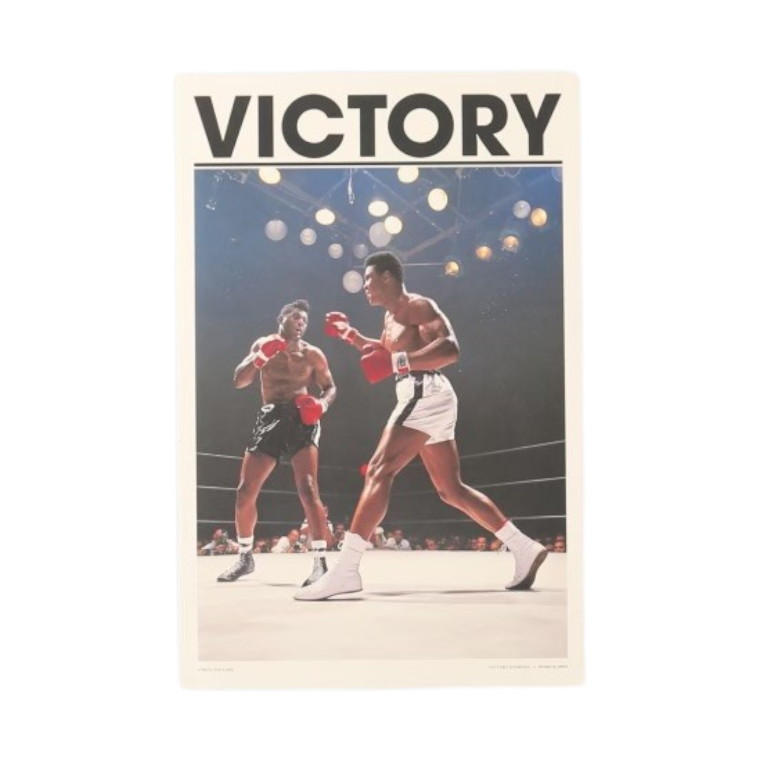 Victory – ONEV